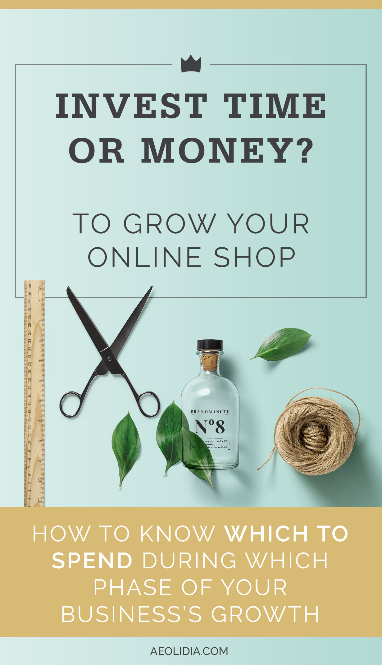 Should You Invest Your Time or Your Money to Grow Your Business? - Aeolidia