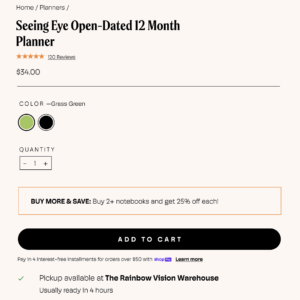 The Rainbow Vision Branding and Website Case Study - Aeolidia