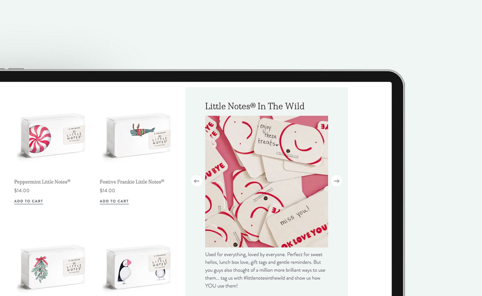 Creating a Robust Collection Page for your Unique Products - Aeolidia
